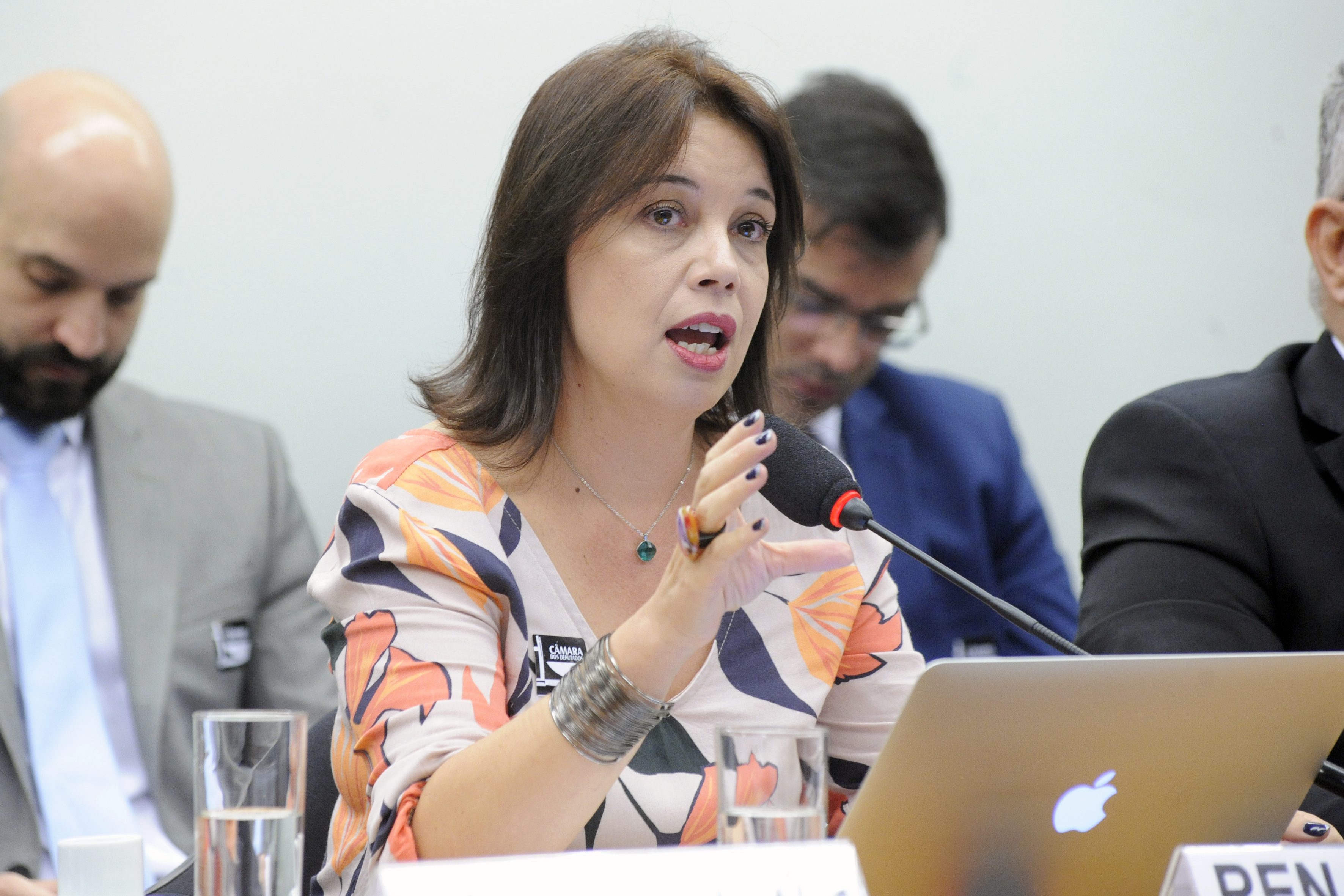 Renata Mielli Telesíntese